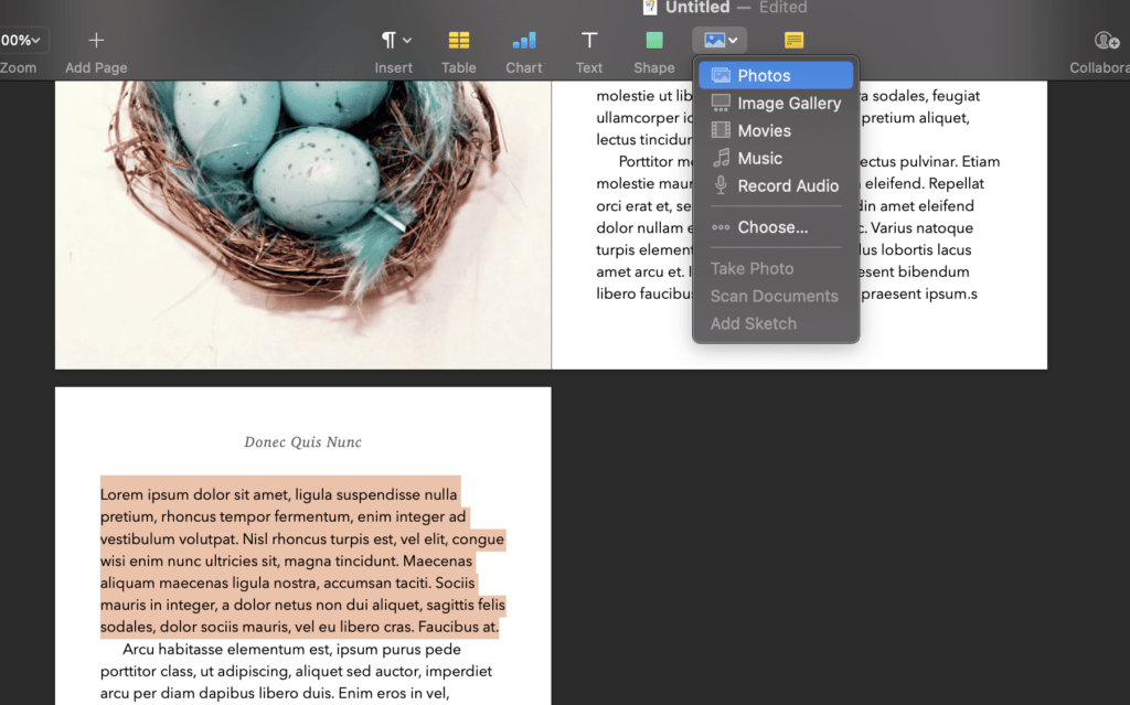 Using Apple Pages To Write & Format A Book - Selfpublished Whiz